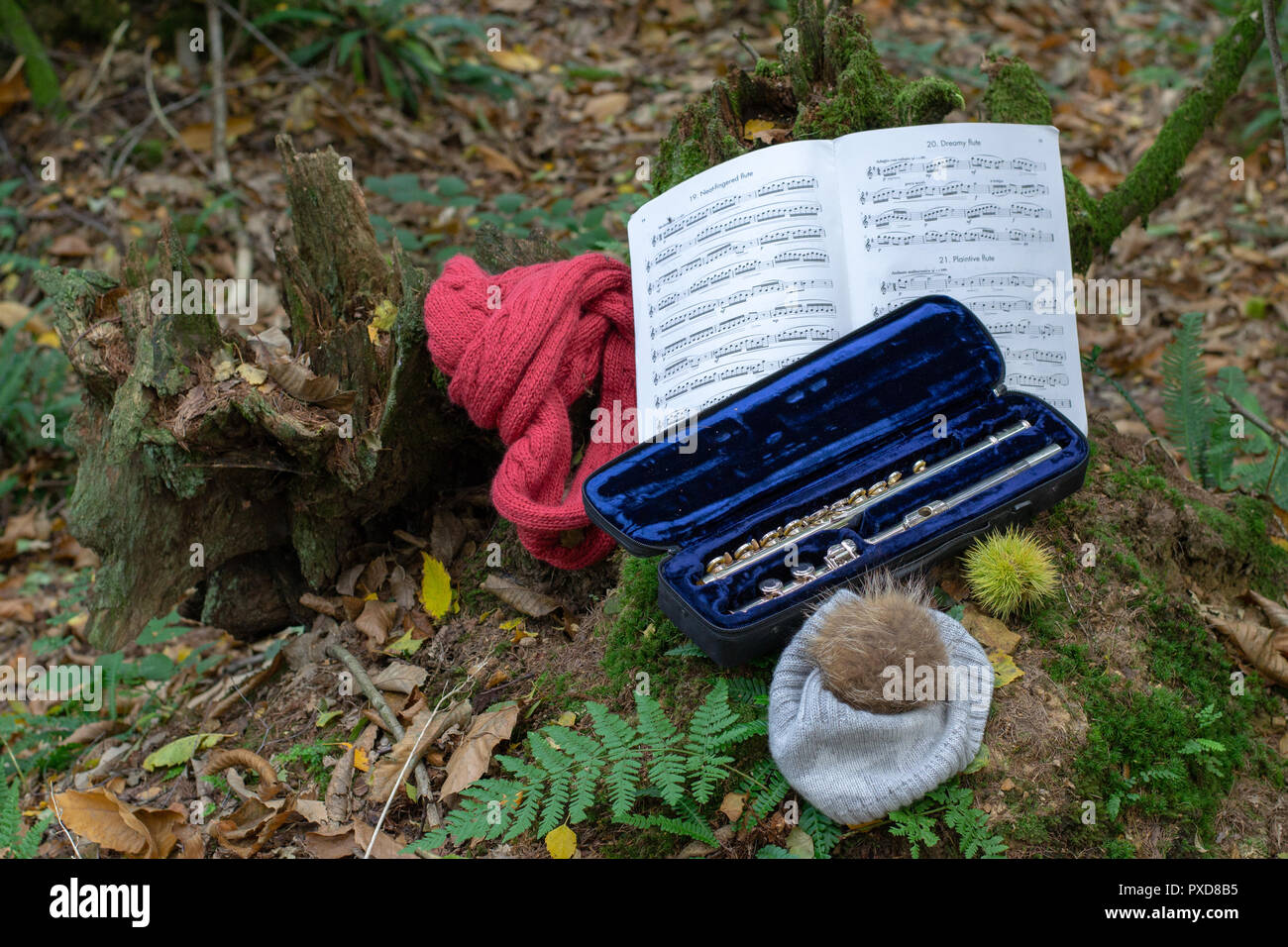 Forest Still Life High Resolution Stock Photography and Images - Alamy