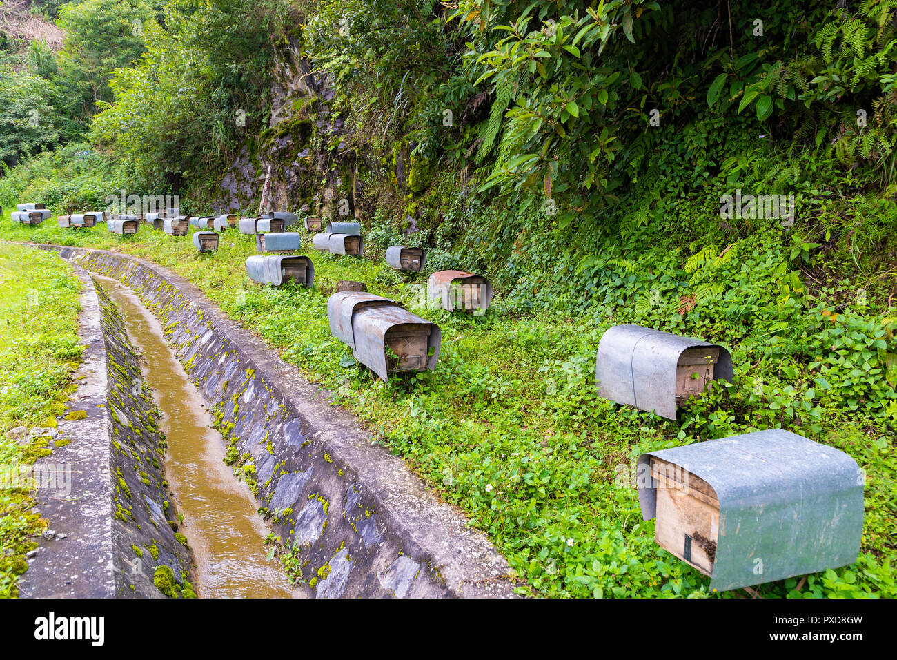 Apiary or Beekeeping farm the main road along the mountain forest rain ...
