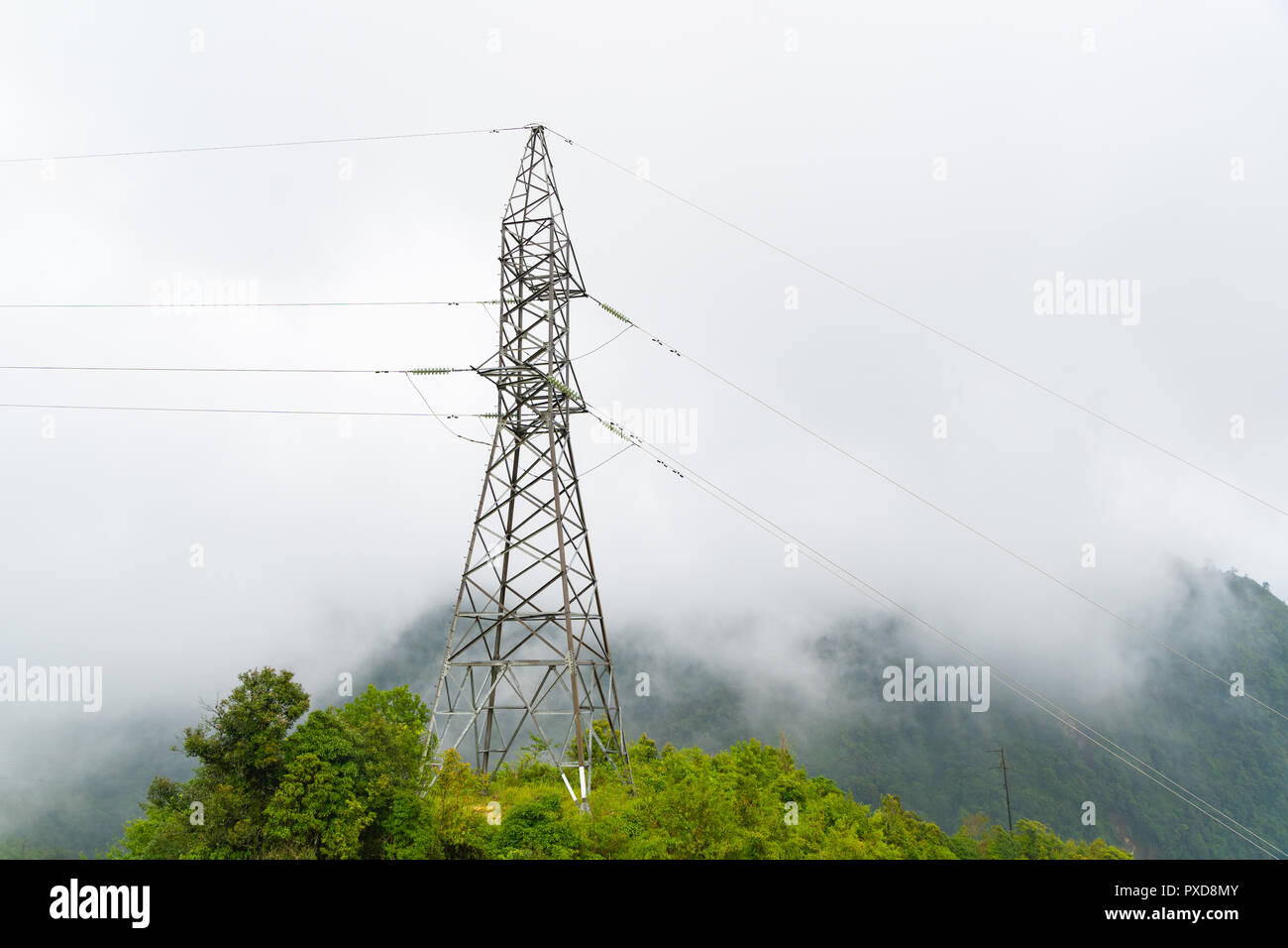 High voltage pole towers on the mountain in the fog and mist on forest ...