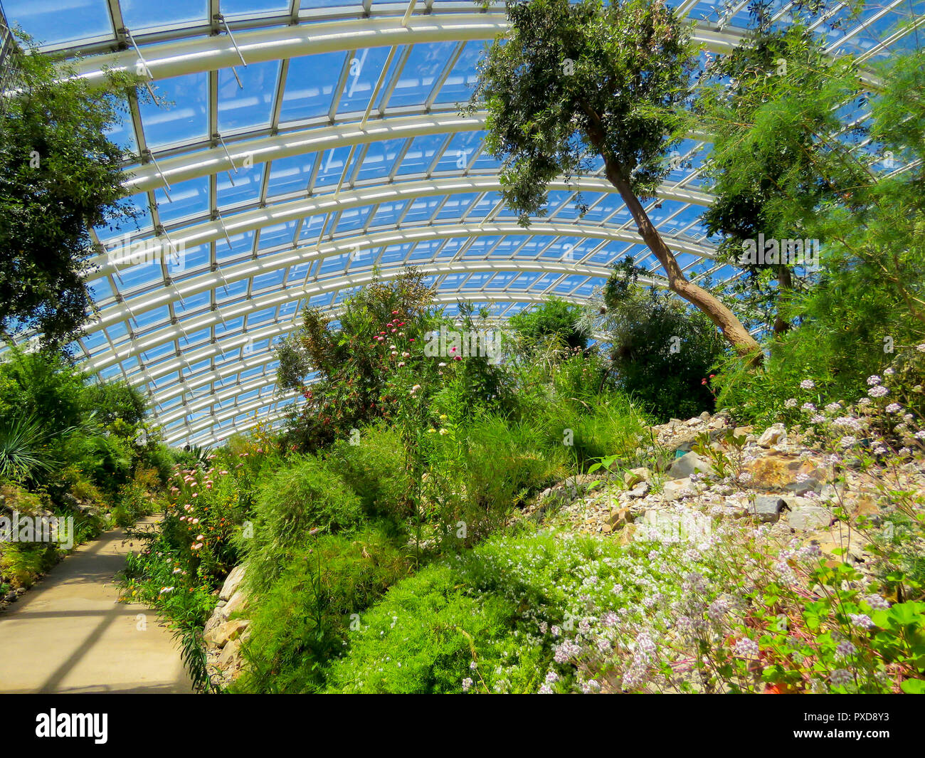 The great glasshouse/greenhouse at the National Botanic Garden of Wales ...