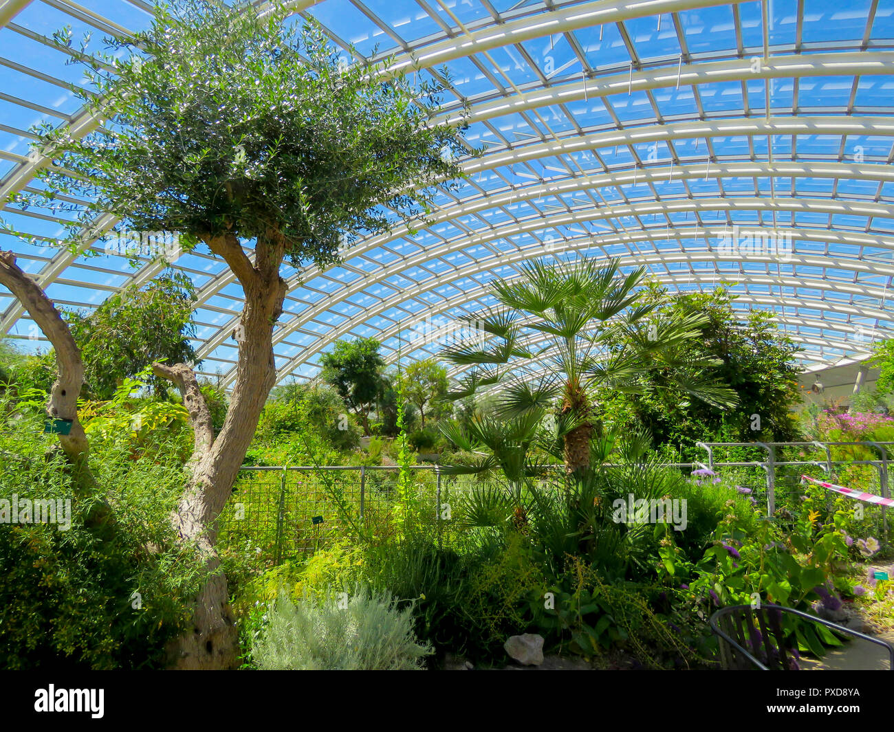 National Botanical Gardens Of Wales High Resolution Stock Photography ...