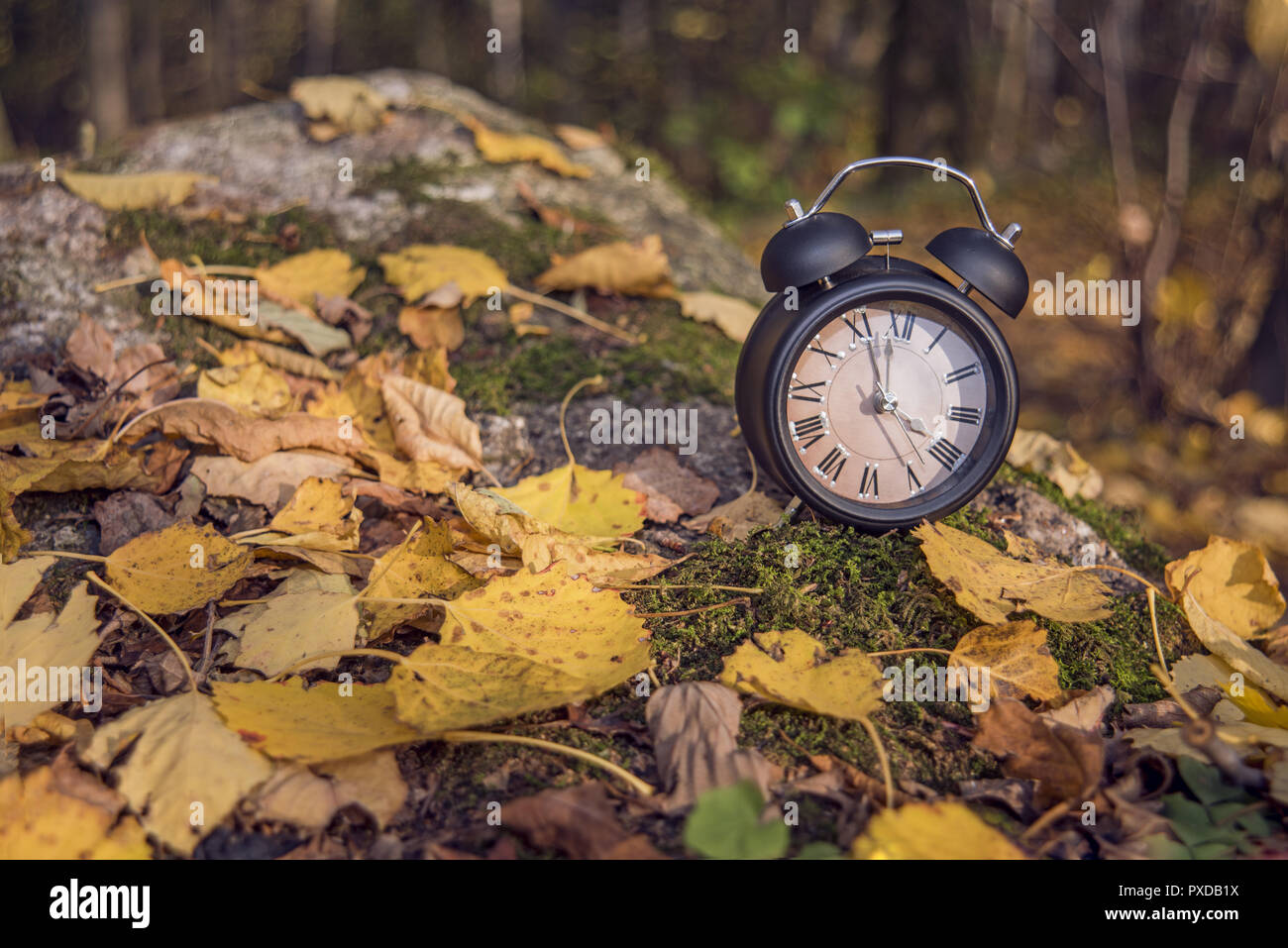 Autumn landscape abstraction. Fall back time. Daylight saving time ...