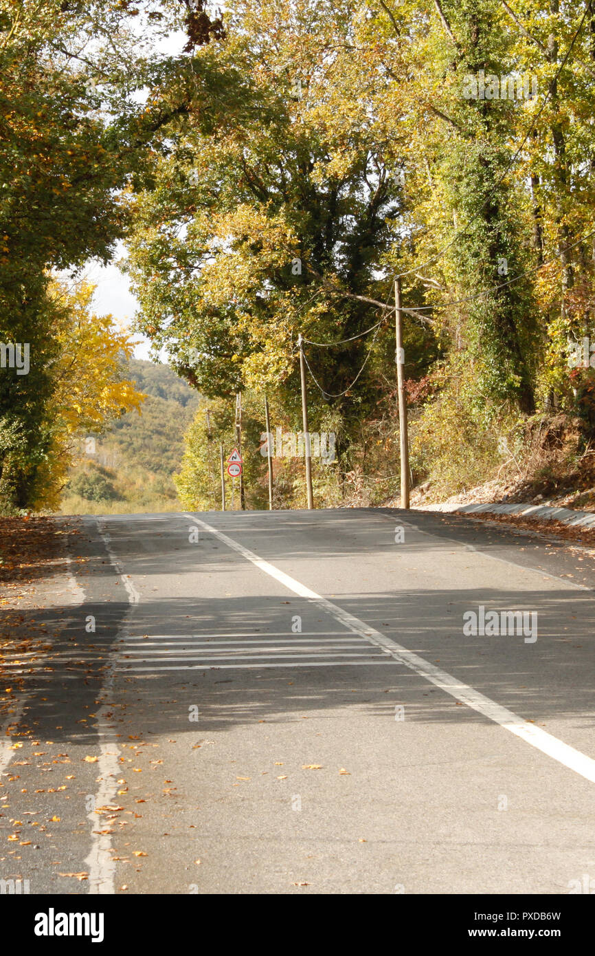 road between trees Stock Photo - Alamy