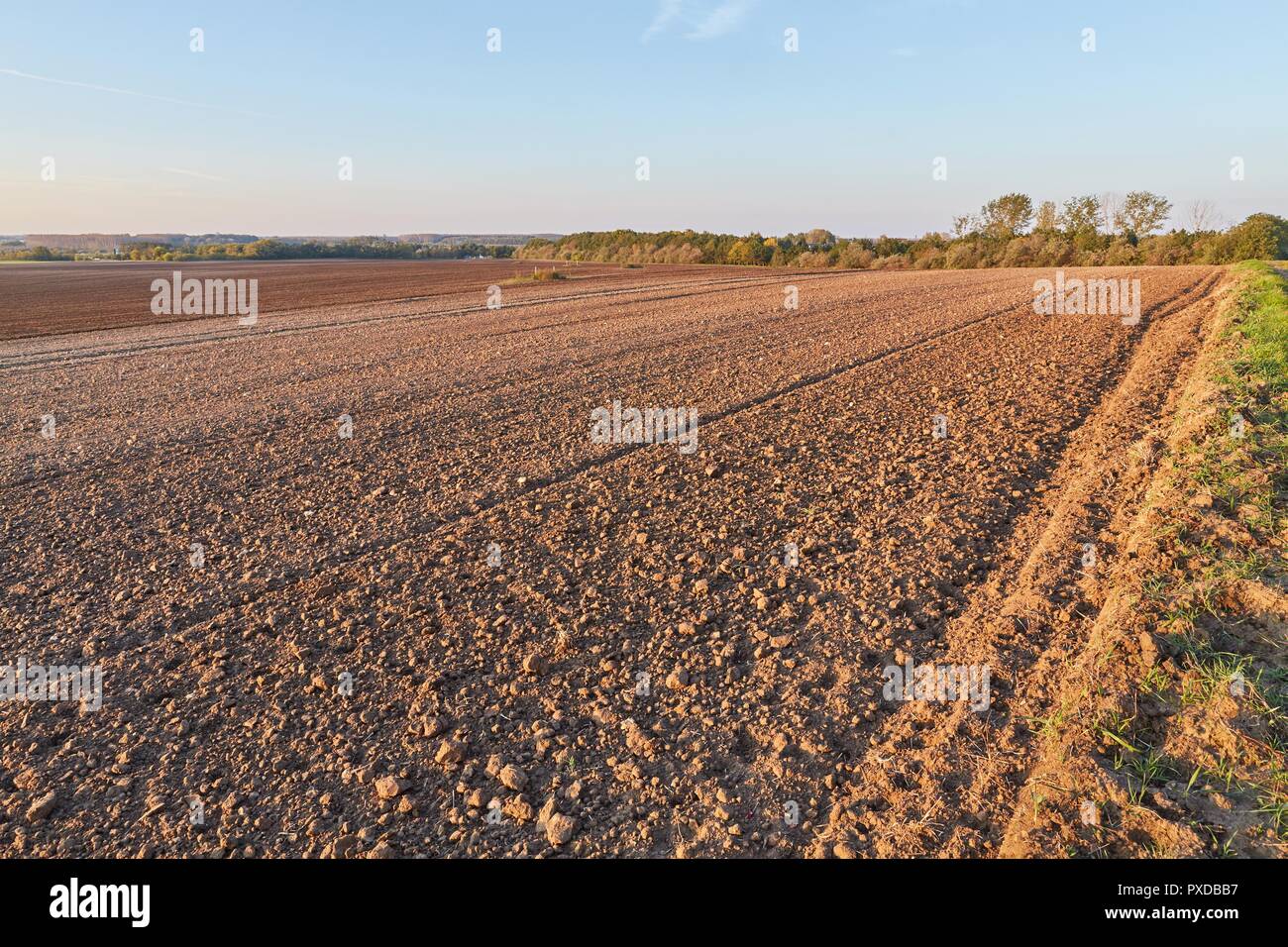 Fertile field hi-res stock photography and images - Alamy