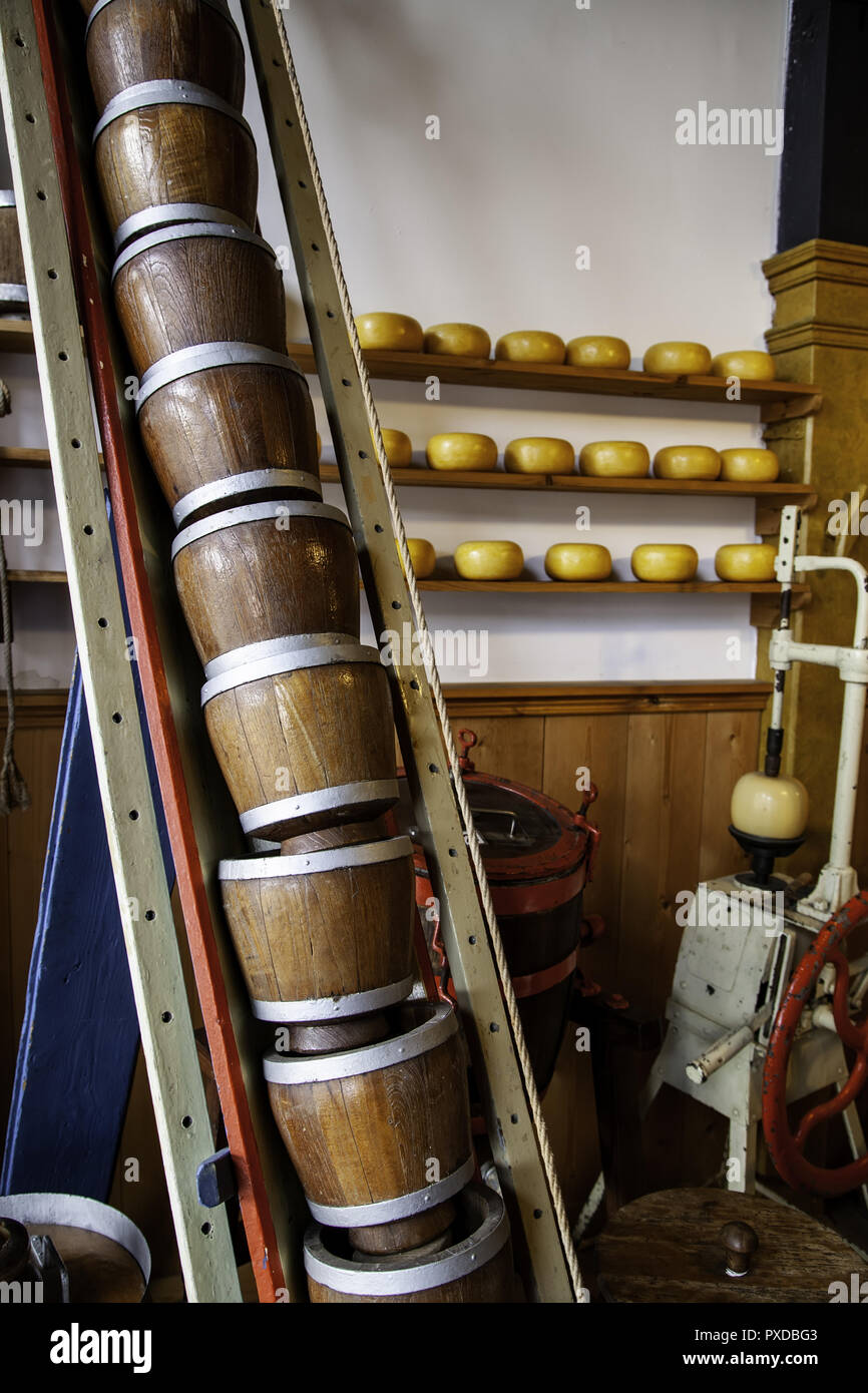 Artisan edam cheese, detail of Dutch cheese making Stock Photo - Alamy