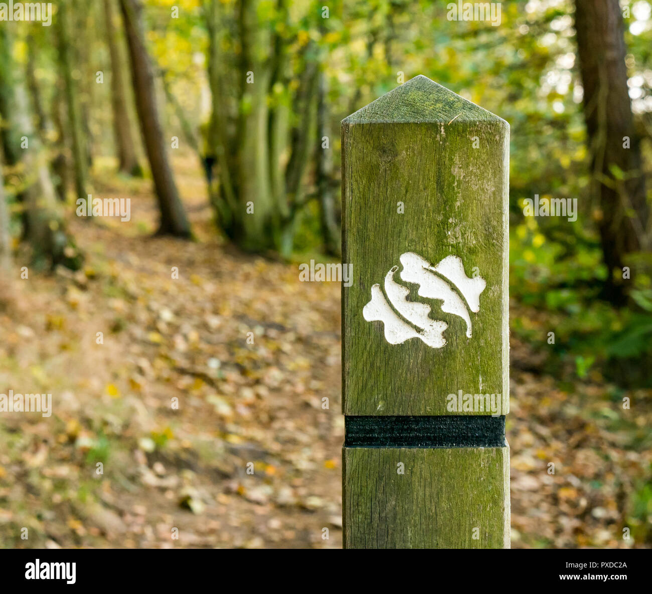 Wooden post sign hi-res stock photography and images - Alamy
