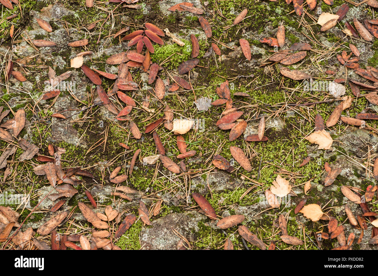 Ground surface hi-res stock photography and images - Alamy
