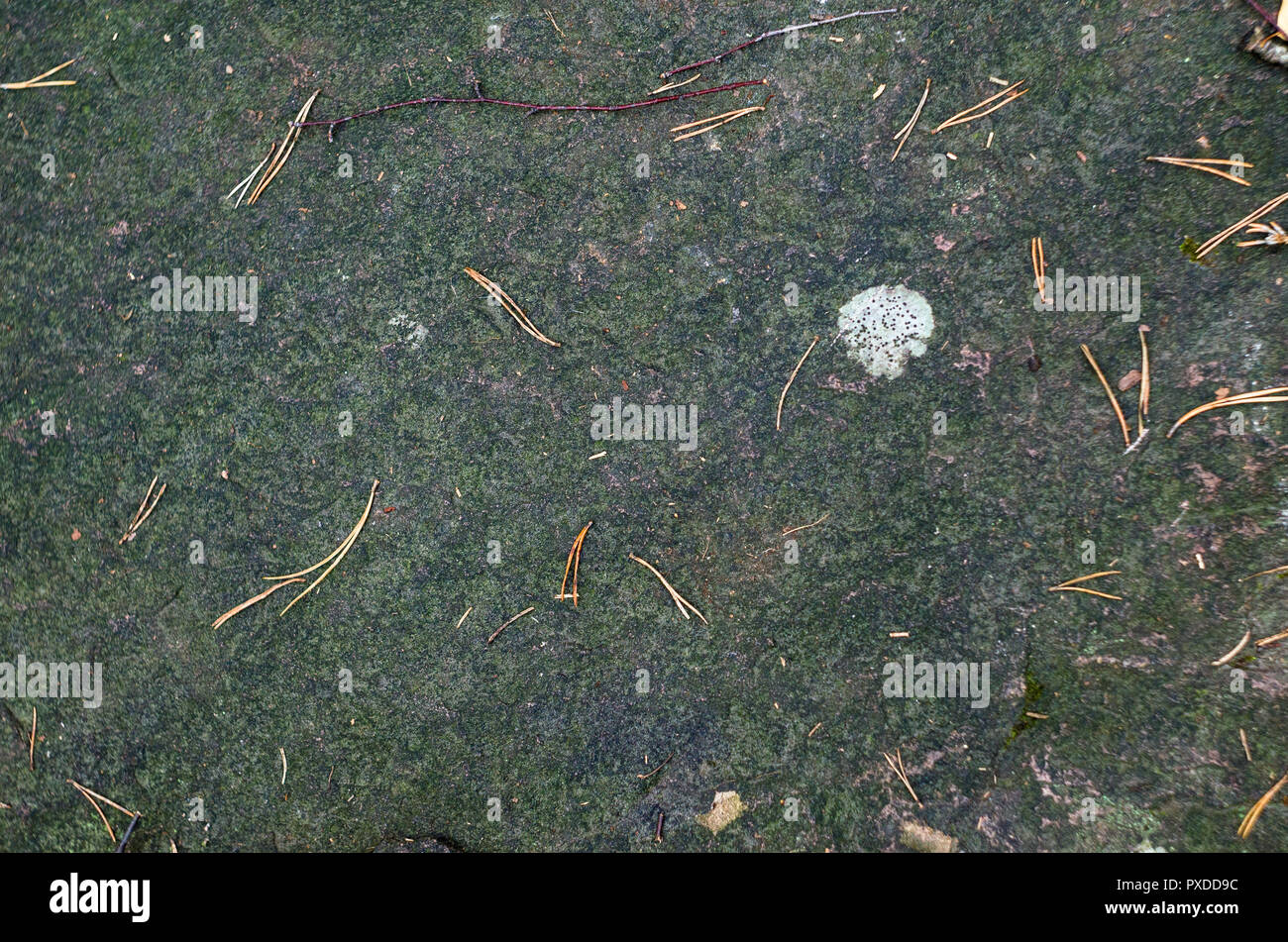 Basalt surface hi-res stock photography and images - Alamy