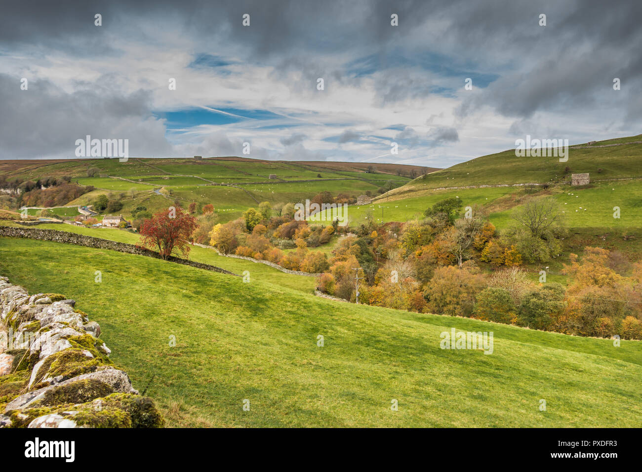 West stonesdale yorkshire dales hi-res stock photography and images - Alamy