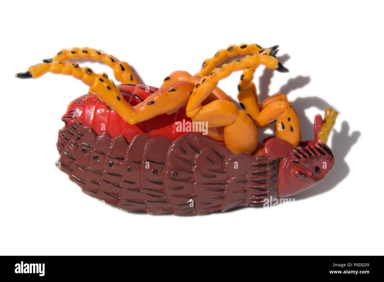 Dead artificial flea on white isolated background Stock Photo - Alamy