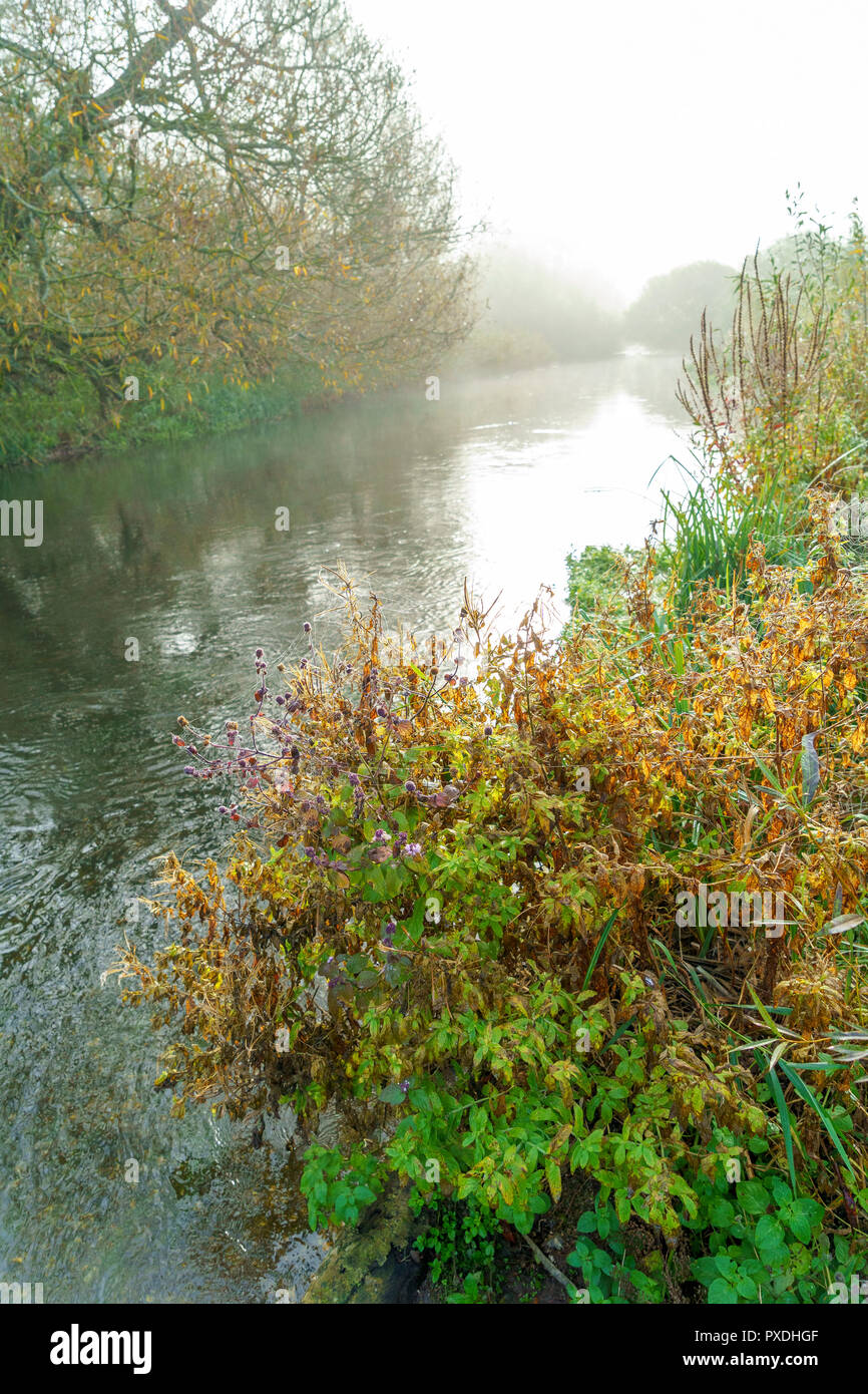 The river avon at salisbury hi-res stock photography and images - Alamy