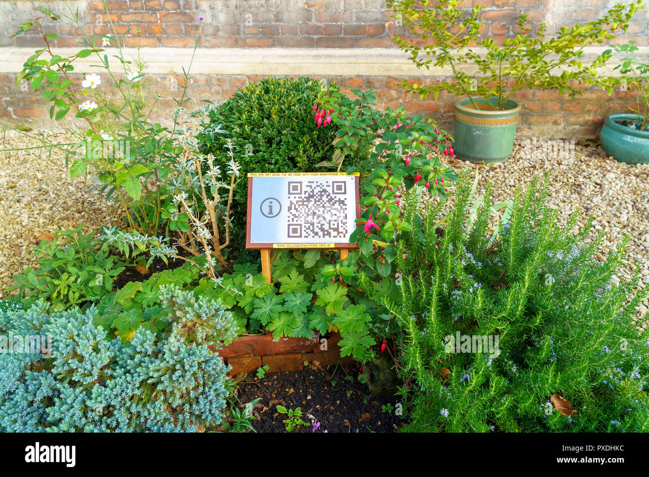 QR code for the College of Matrons web site on small board amongst ...