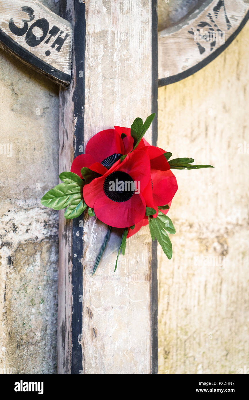 Remembrance day poppies Stock Photo - Alamy