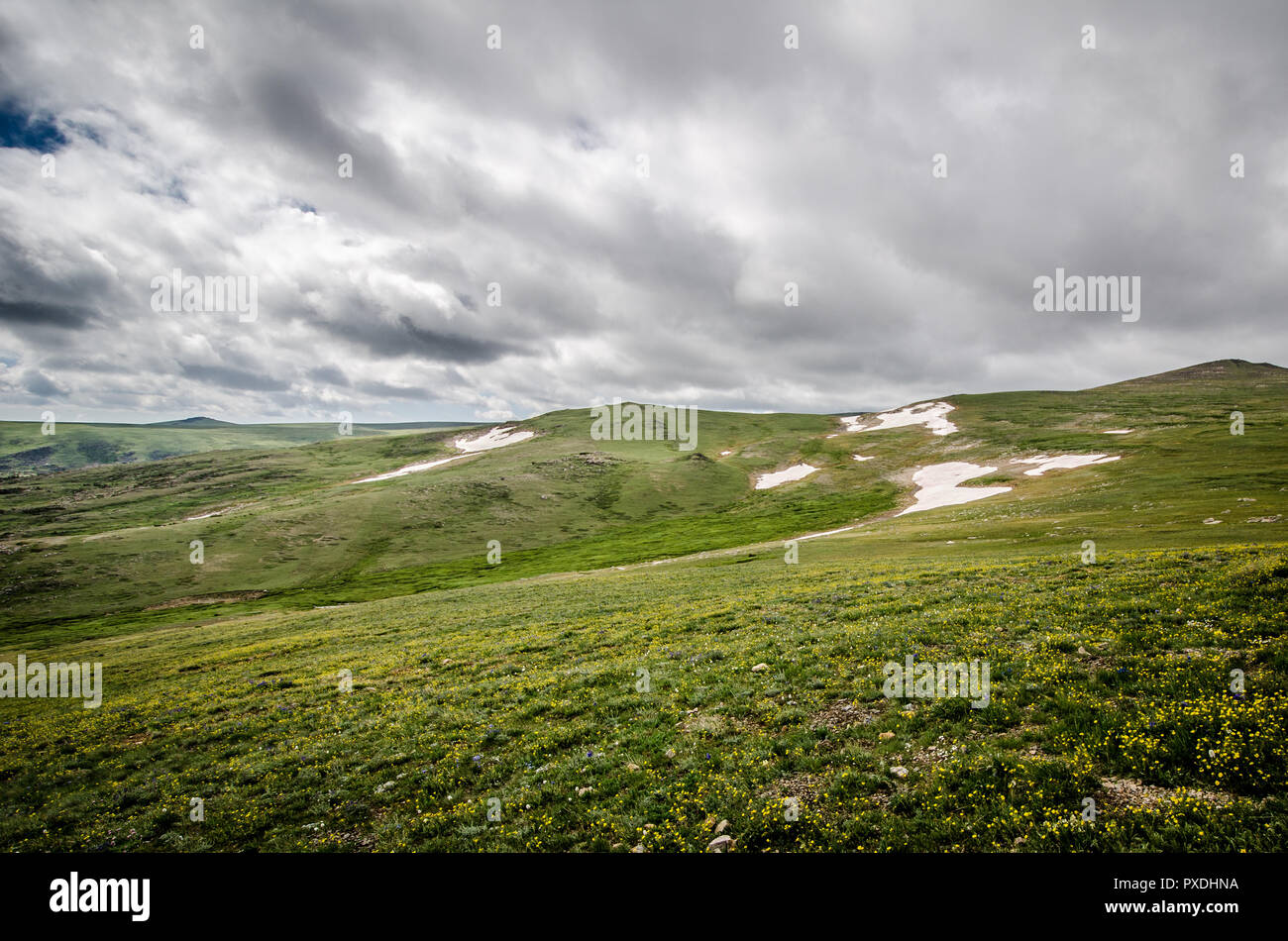 Beartooth pass scenic byway hi-res stock photography and images - Alamy