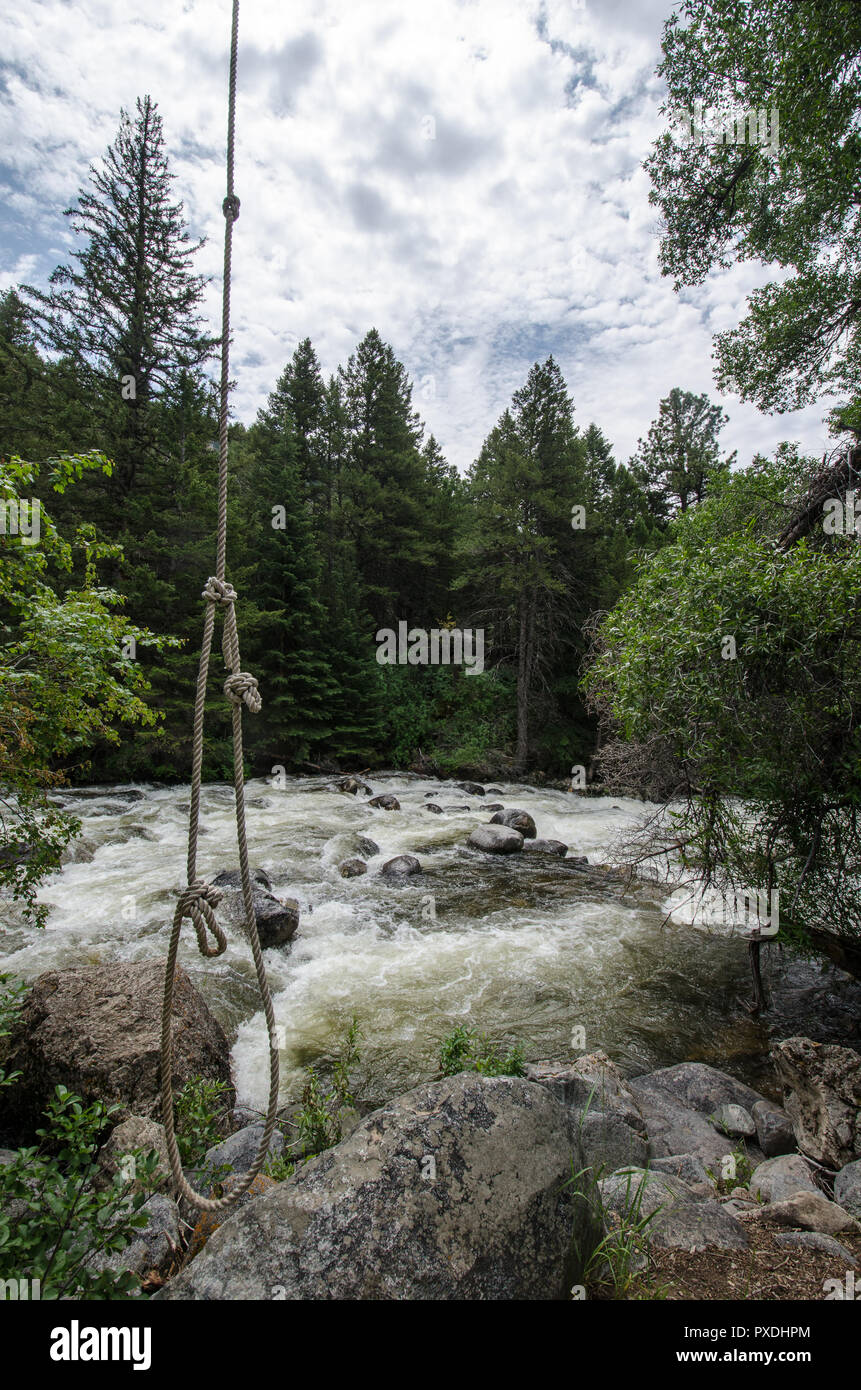 Rope swing tied in a loop on a tree next to a raging river in Wyoming ...