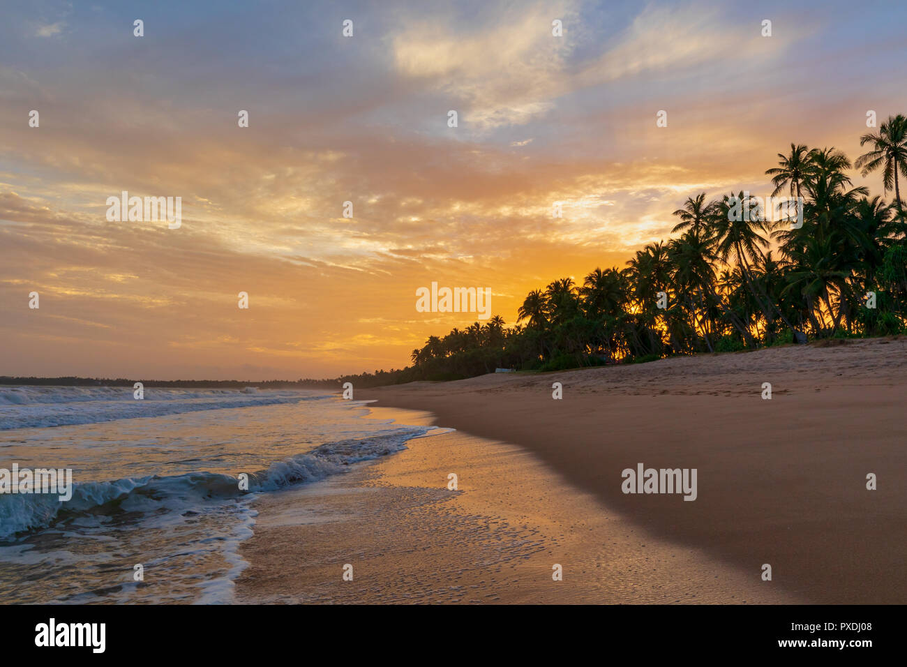 Sri lanka beach sunset hi-res stock photography and images - Alamy
