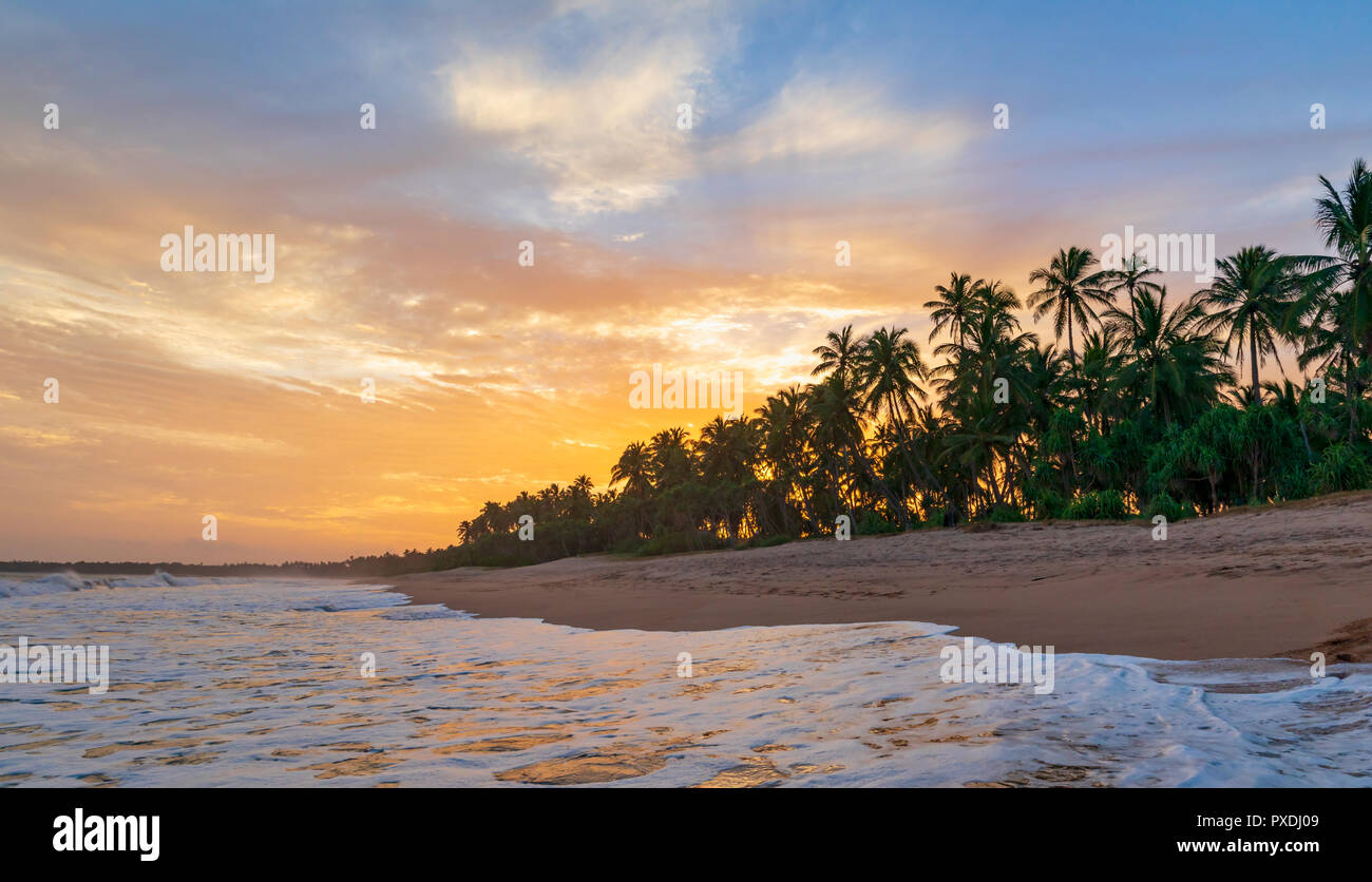 Sunset beach sri lanka island hi-res stock photography and images - Alamy