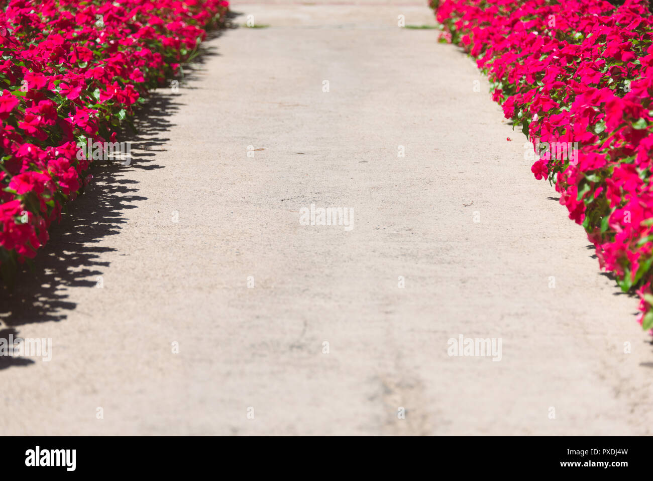 Sides of road hi-res stock photography and images - Alamy