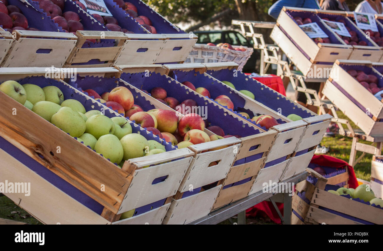 Apples boxes of various qualities and colors in display at the market ...