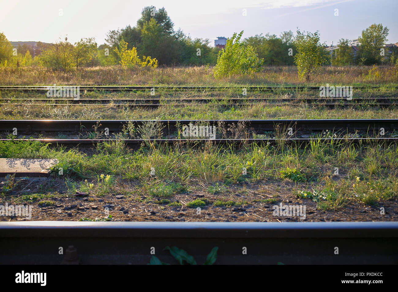 Multiple rails laying horizontally providing many paths of access to ...