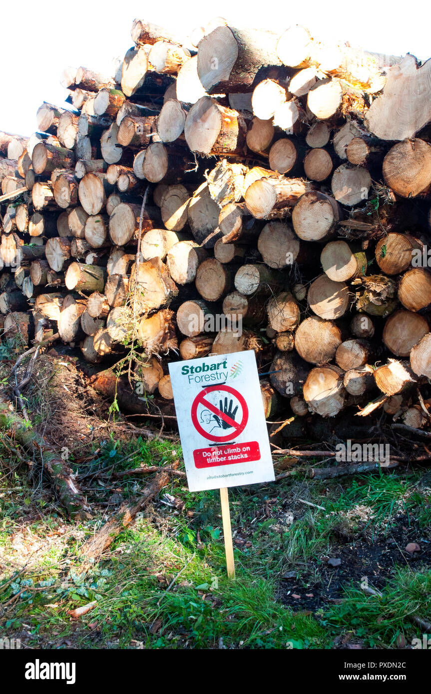 Stack of cut up tree trunks after being felled due to being unsafe ...