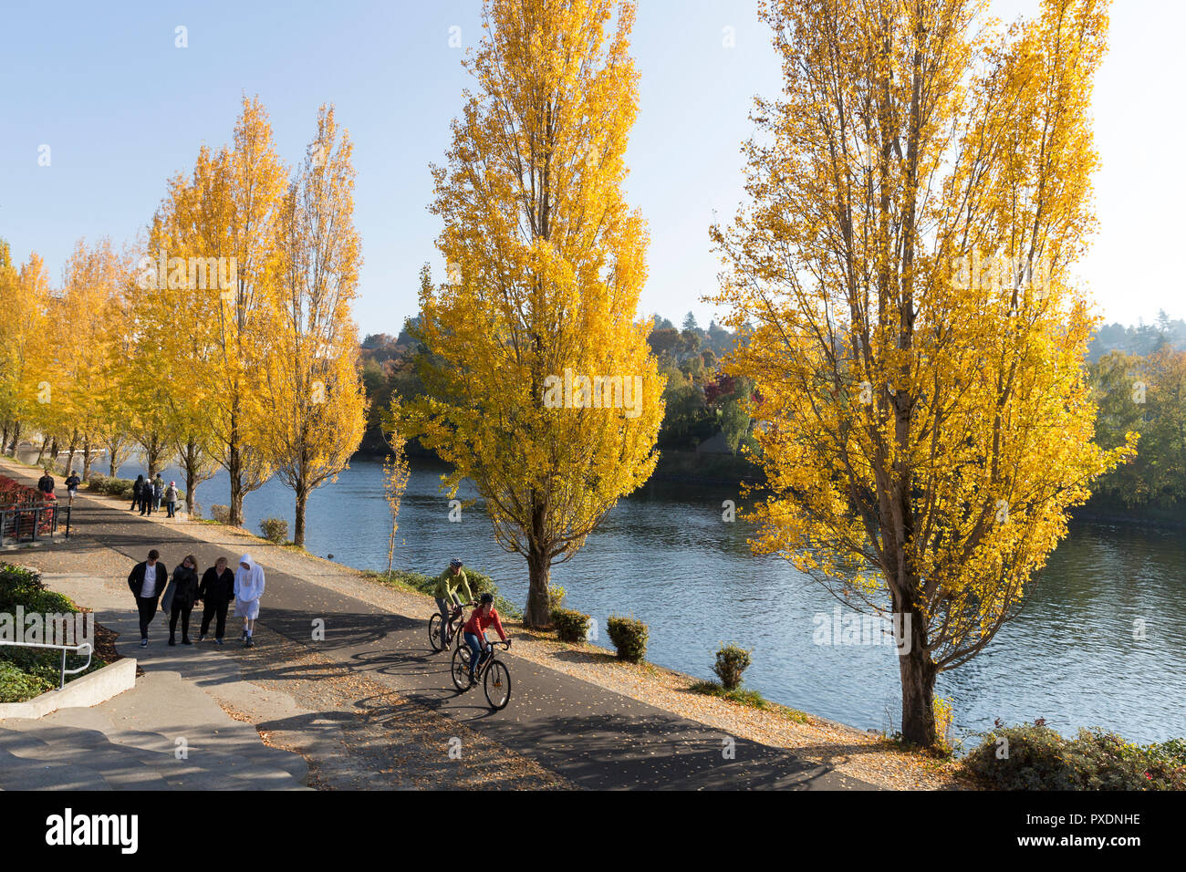 Burke gilman trail fremont hi-res stock photography and images - Alamy