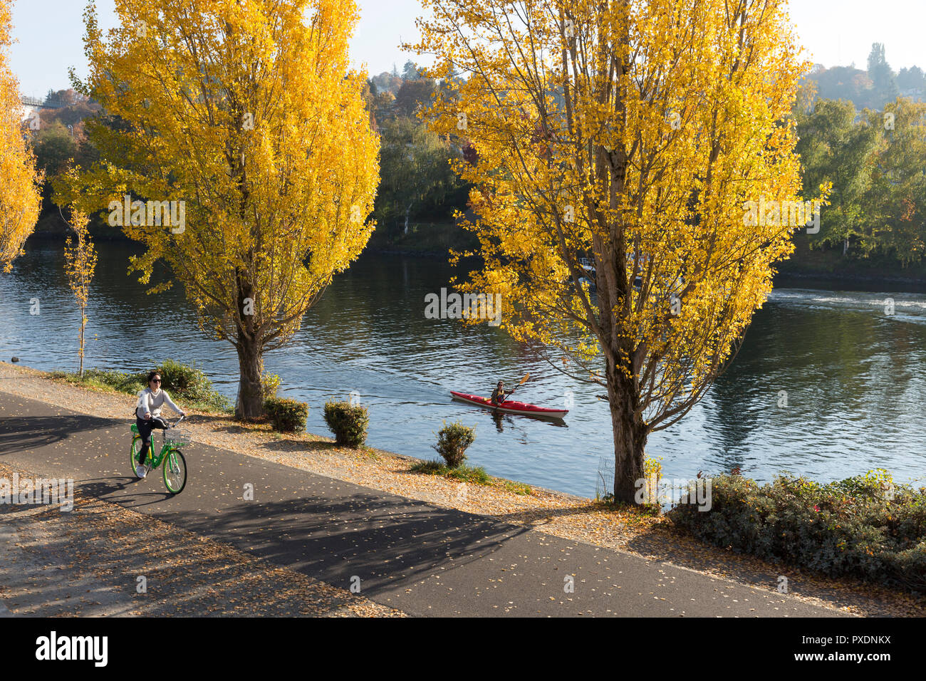 Burke gilman trail lake washington hi-res stock photography and images ...
