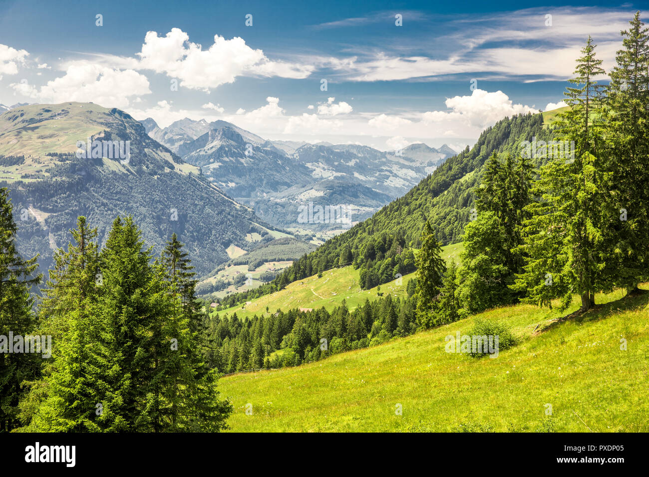 Beautiful summer landscape of Switzerland with Grosser Mythen mountain ...