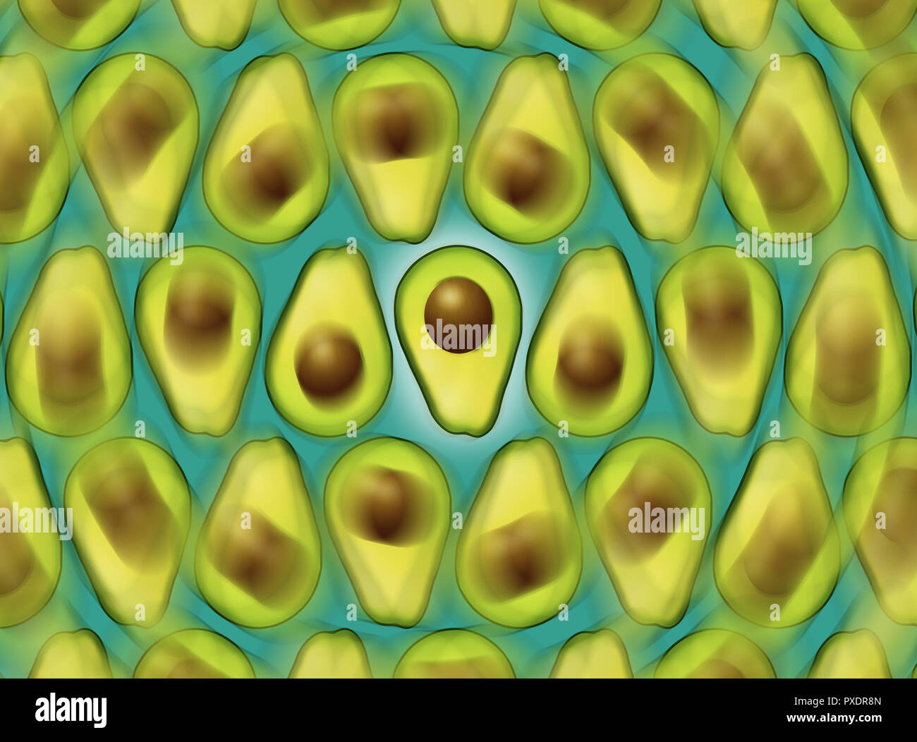 Avocado is a heart healthy food and is shown isolated on a white ...