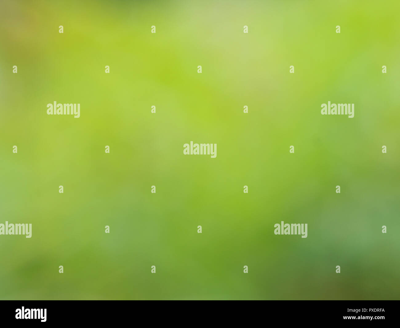 Abstract in nature hi-res stock photography and images - Alamy