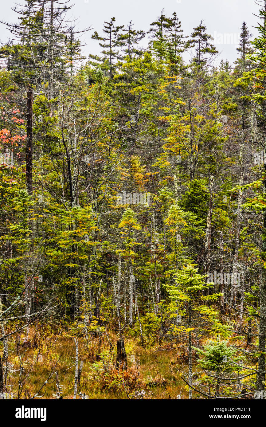 Green mountain national forest, vermont hi-res stock photography and ...