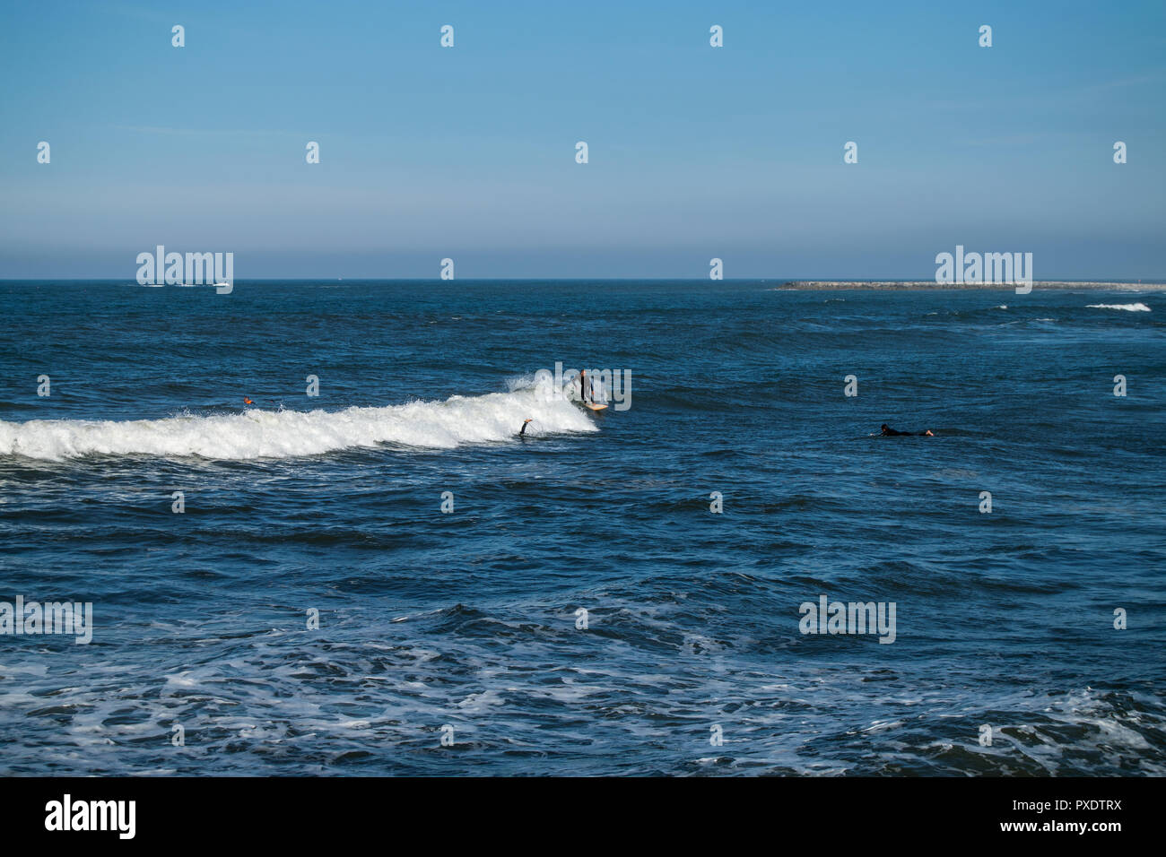 Ofir beach in Portugal, surf spot. catching a wave on the ocean, surf ...