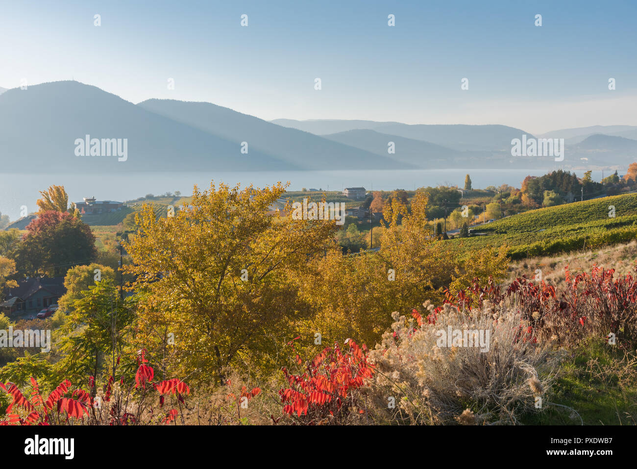 Naramata Bench, Okanagan Lake and mountains landscape with fall colors ...
