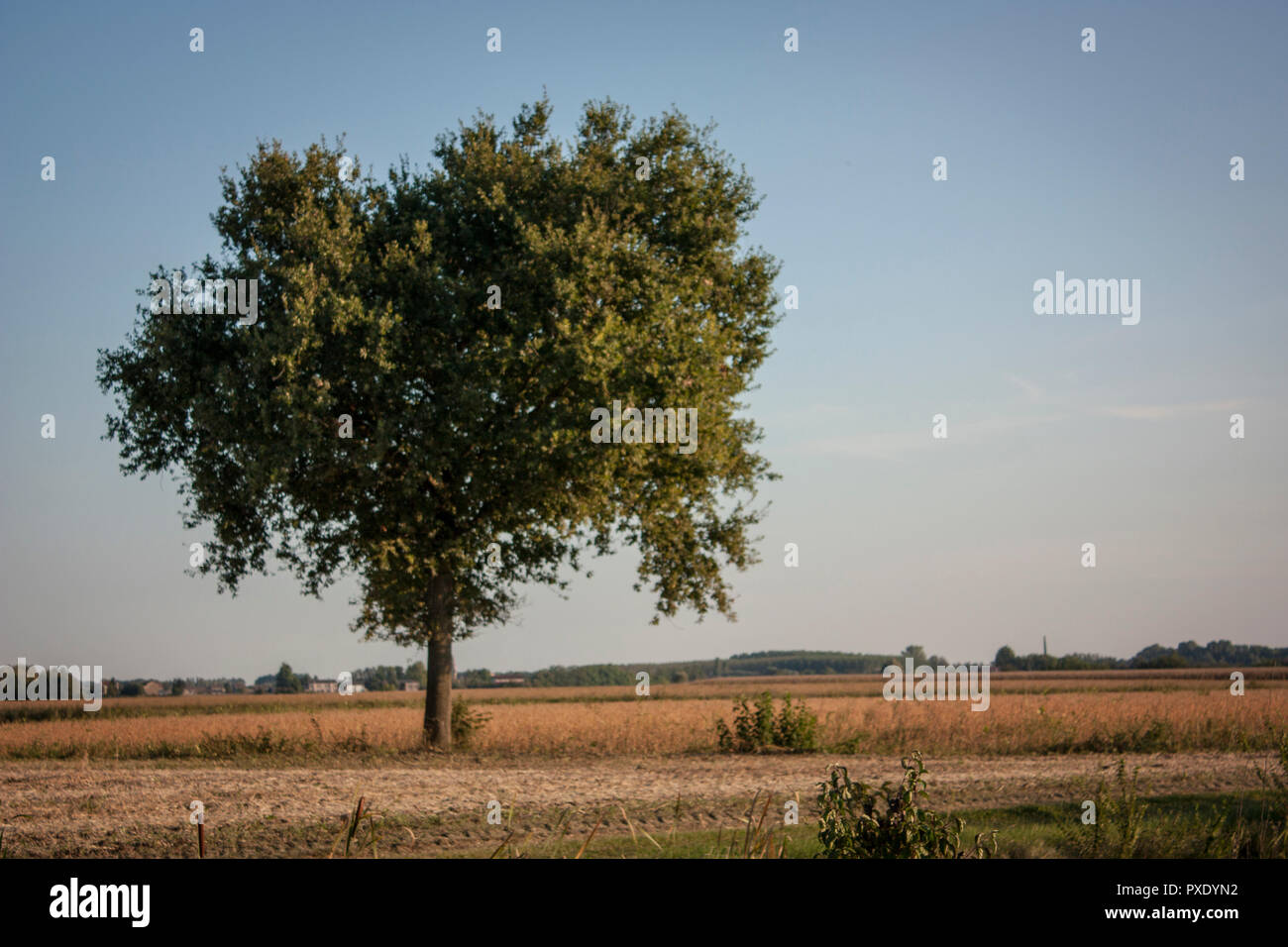 Immersed in unique landscape hi-res stock photography and images - Alamy