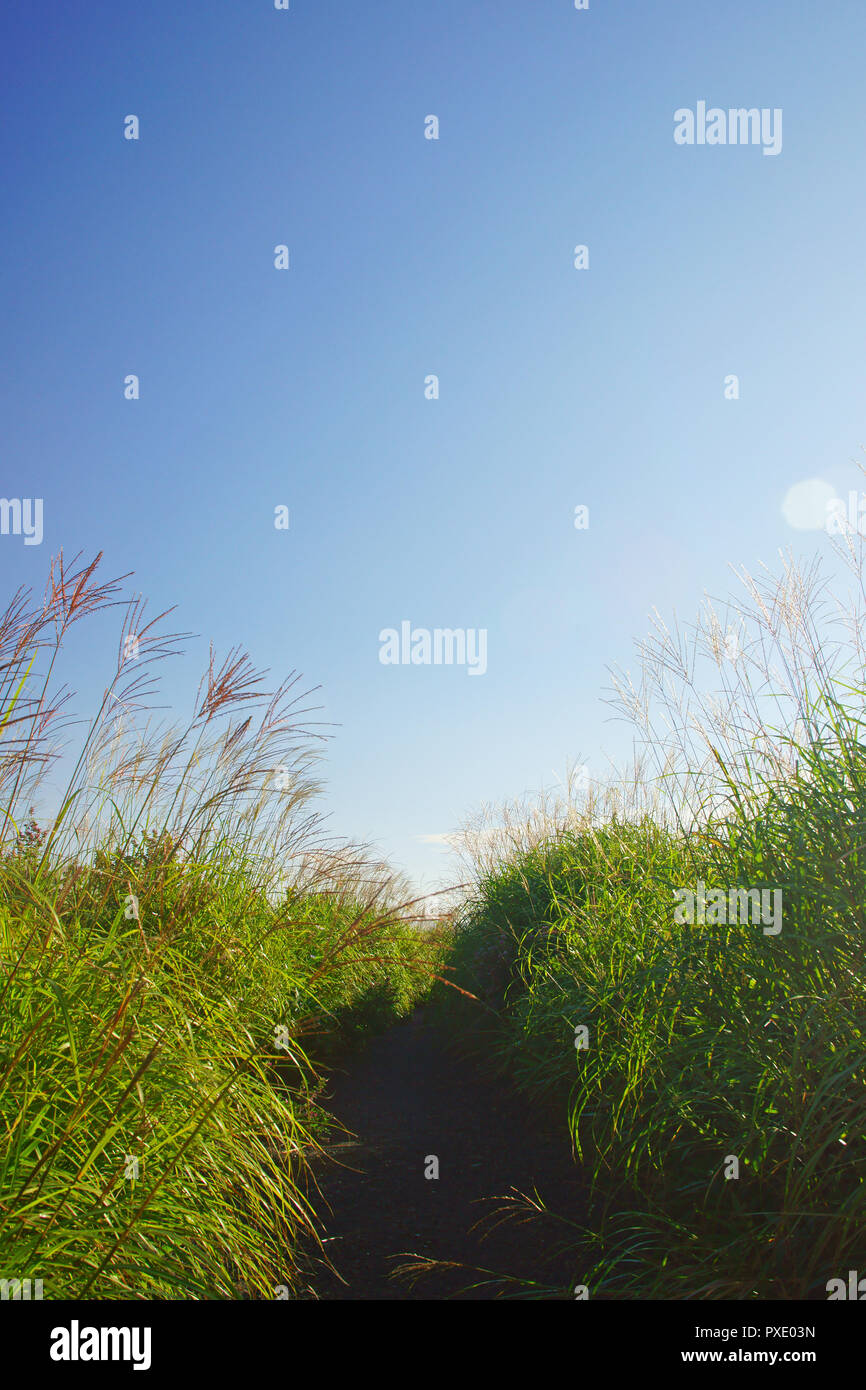 Field and Road Stock Photo - Alamy