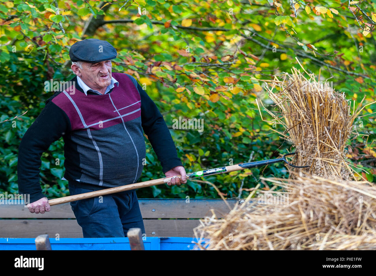 Threshing hi-res stock photography and images - Alamy