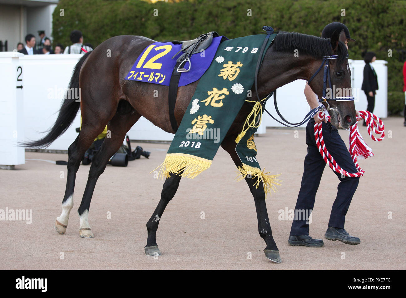 Kyoto, Japan. 21st Oct, 2018. Fierement Horse Racing : Fierement after ...