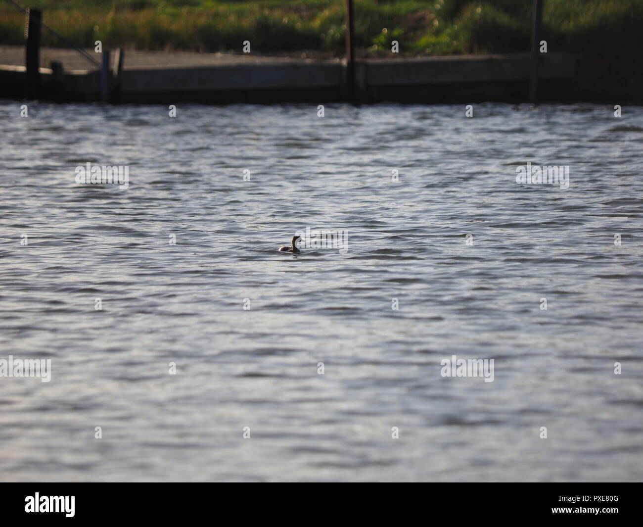 Sheerness, Kent, UK. 22nd Oct, 2018. UK Weather: a sunny morning in ...