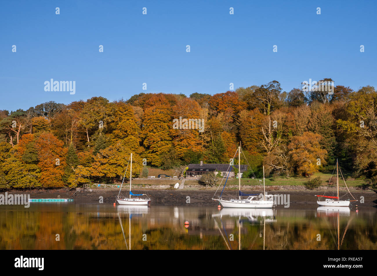 Drakess estuary hi-res stock photography and images - Alamy