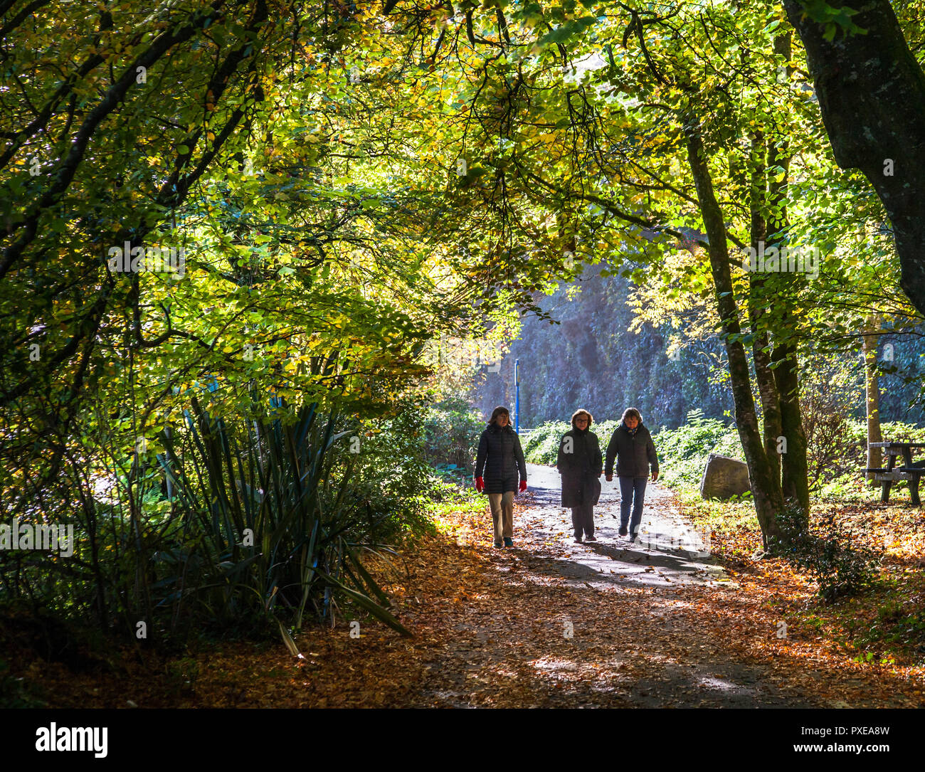 Old crosshaven railway hi-res stock photography and images - Alamy