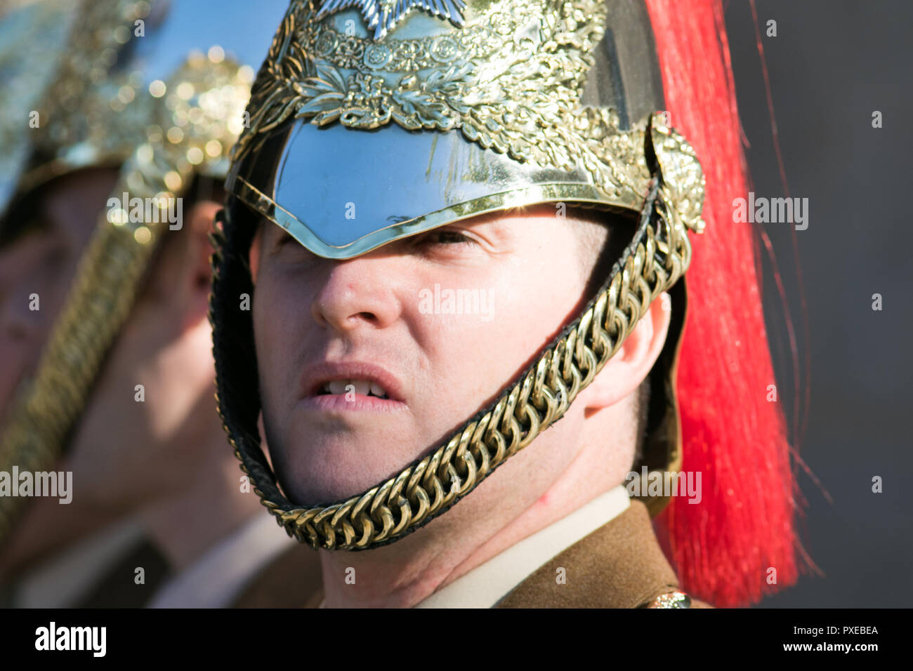 Royal dutch guards hi-res stock photography and images - Alamy