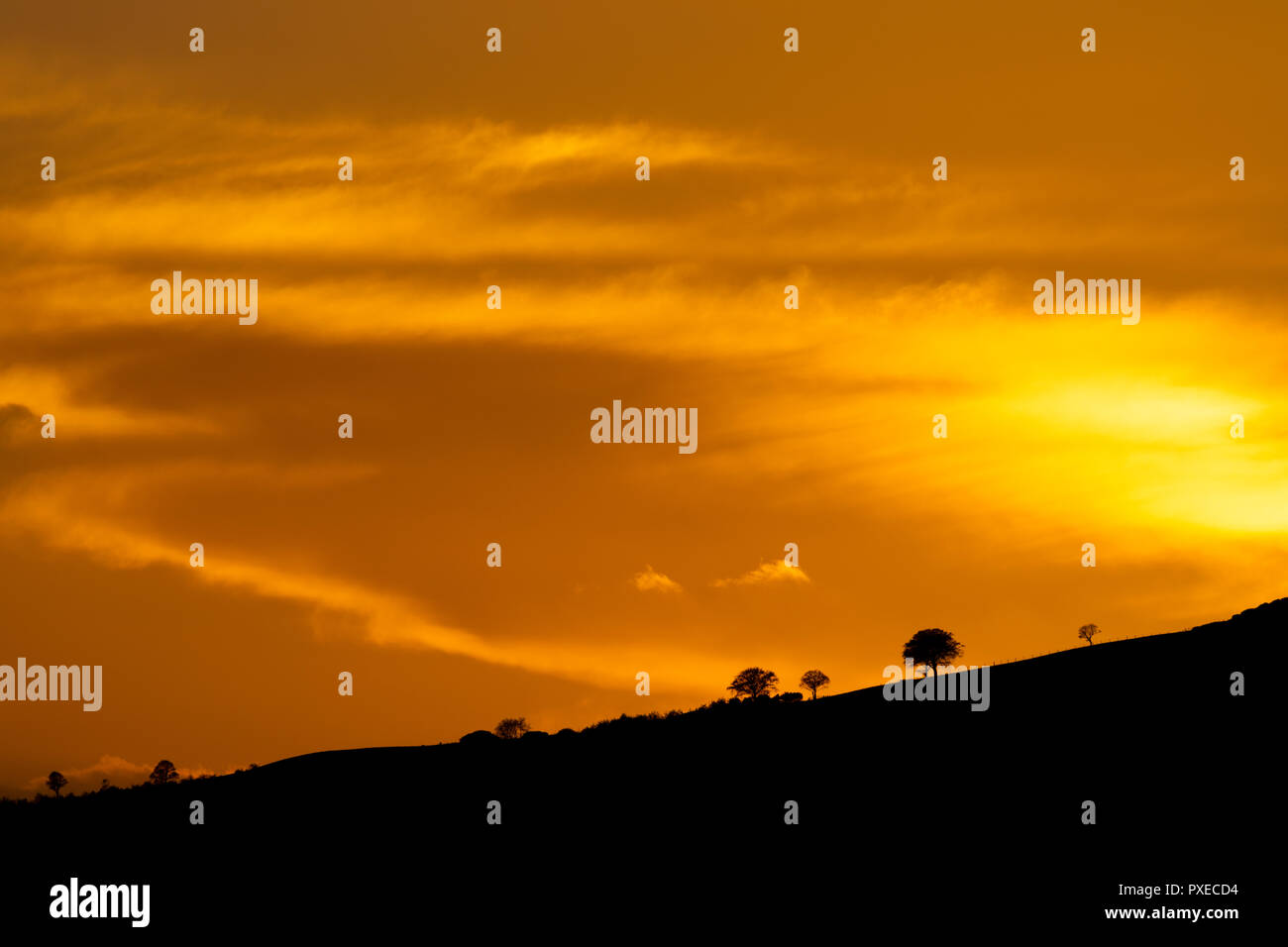 Spectacular and beautiful sunset over Moel-y-Parc in the Clwydian Range ...