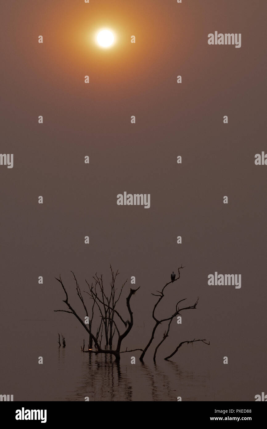 Sunset on Lake Kariba, Zimbabwe Stock Photo - Alamy