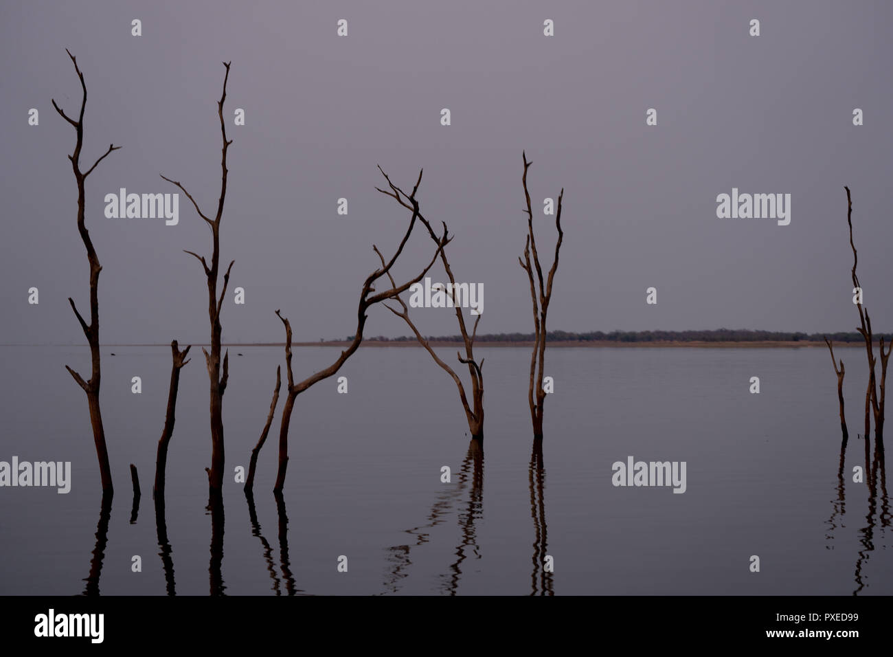Sunset on Lake Kariba, Zimbabwe Stock Photo - Alamy