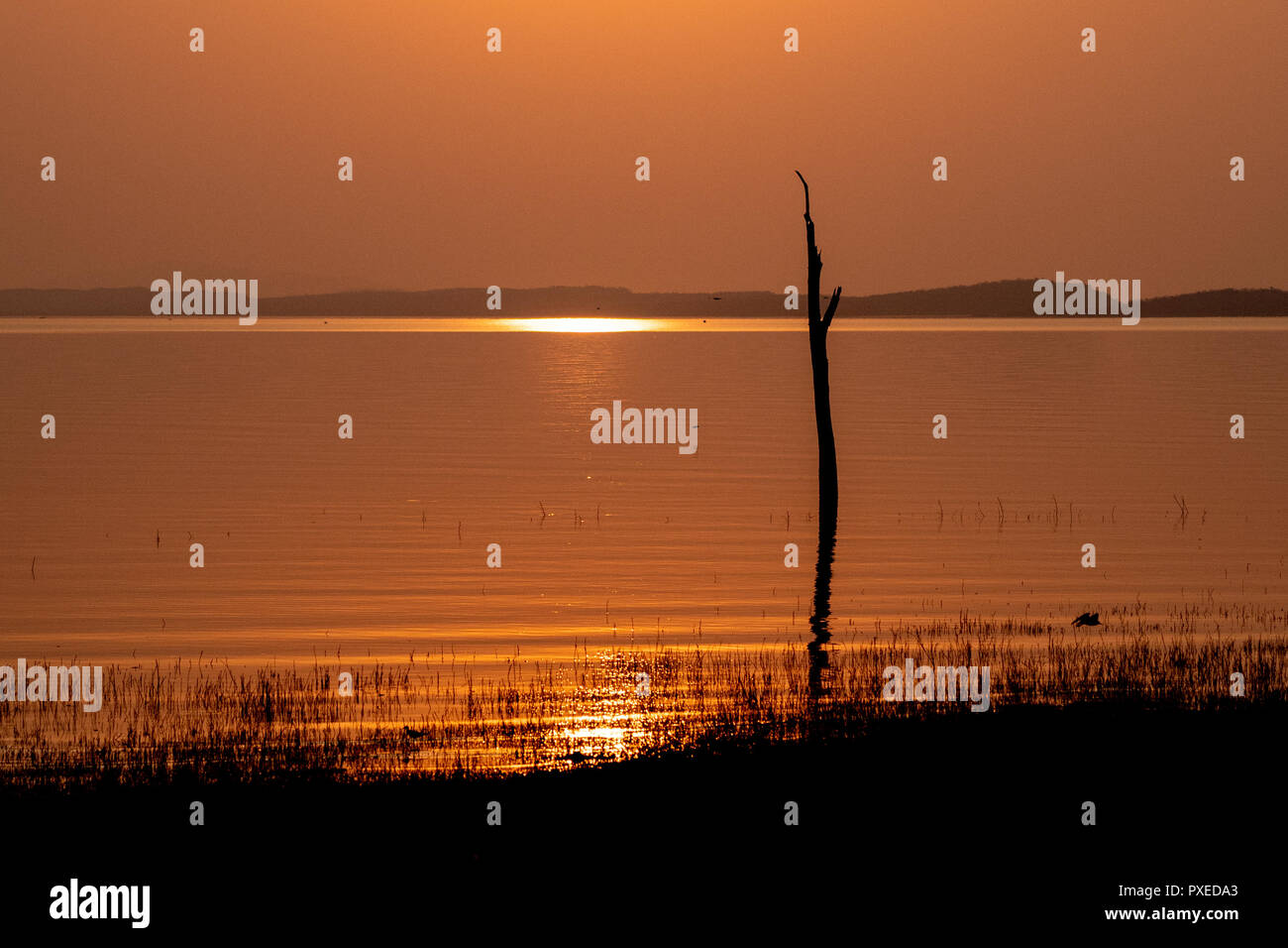 Sunset on Lake Kariba, Zimbabwe Stock Photo - Alamy