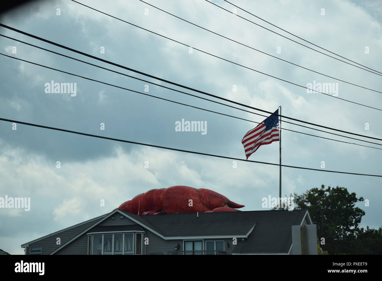 Camden eye hi-res stock photography and images - Alamy