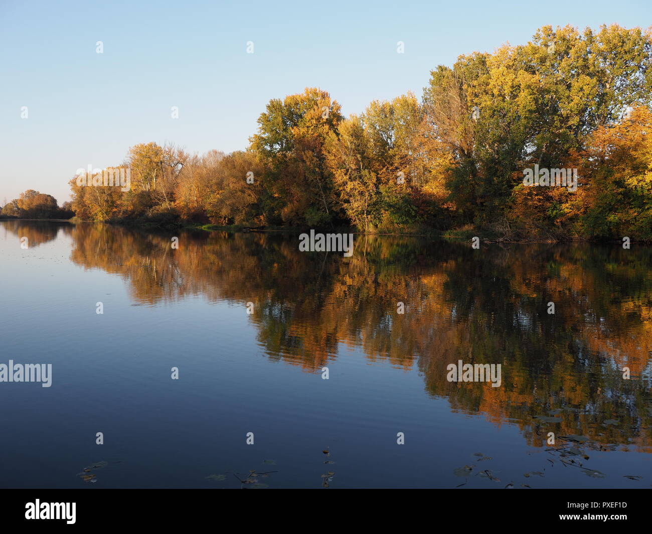 Landscape of colorful trees and river with water reflection at royal ...