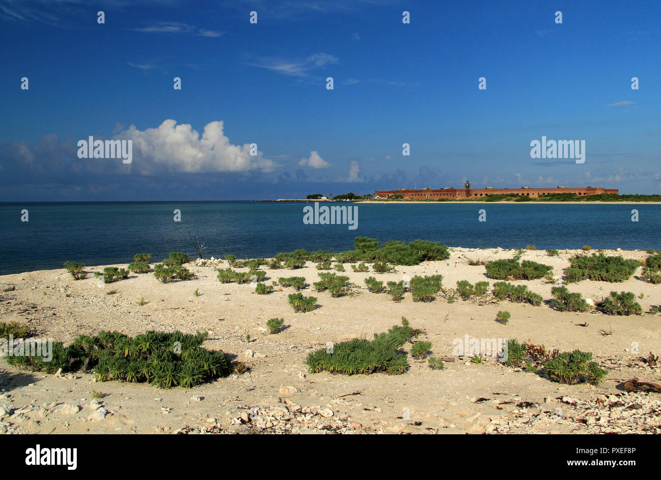 Located on Garden Key in Dry Tortugas National Park, Fort Jefferson is ...