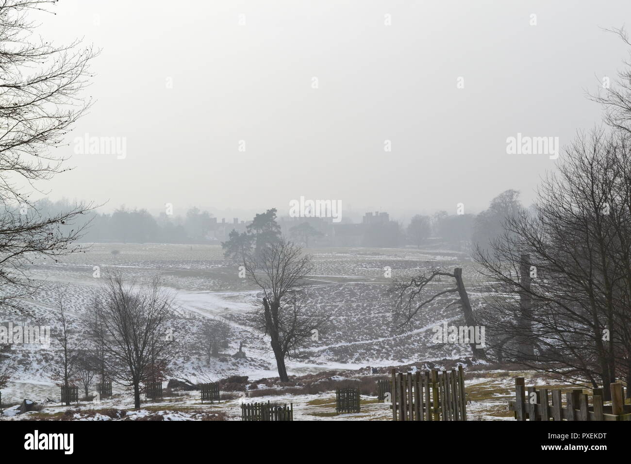 National Trust's Knole Park, Sevenoaks, Kent, England, UK on a snowy ...