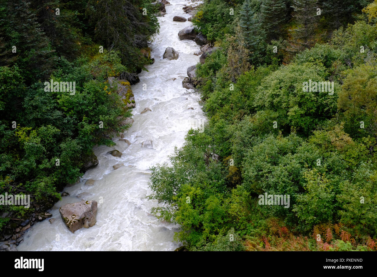 Stream passing through woods from above Stock Photo - Alamy